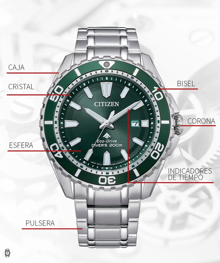 Anatomía básica de un reloj: Descubre cómo funcionan